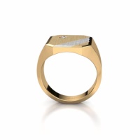 Massieve strak gouden Patrick 5 zegelring | Stel zelf samen